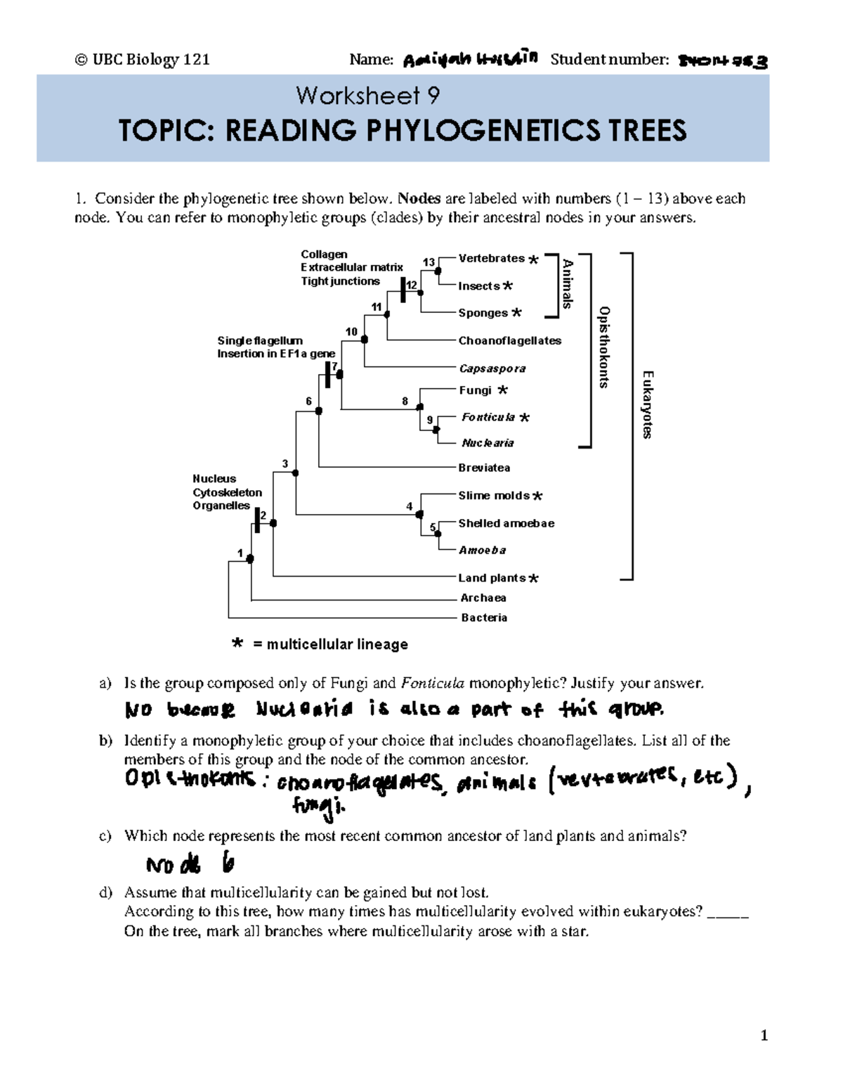 UBC Biology 121 Worksheet: Reading Phylogenetic Trees Analysis - Studocu