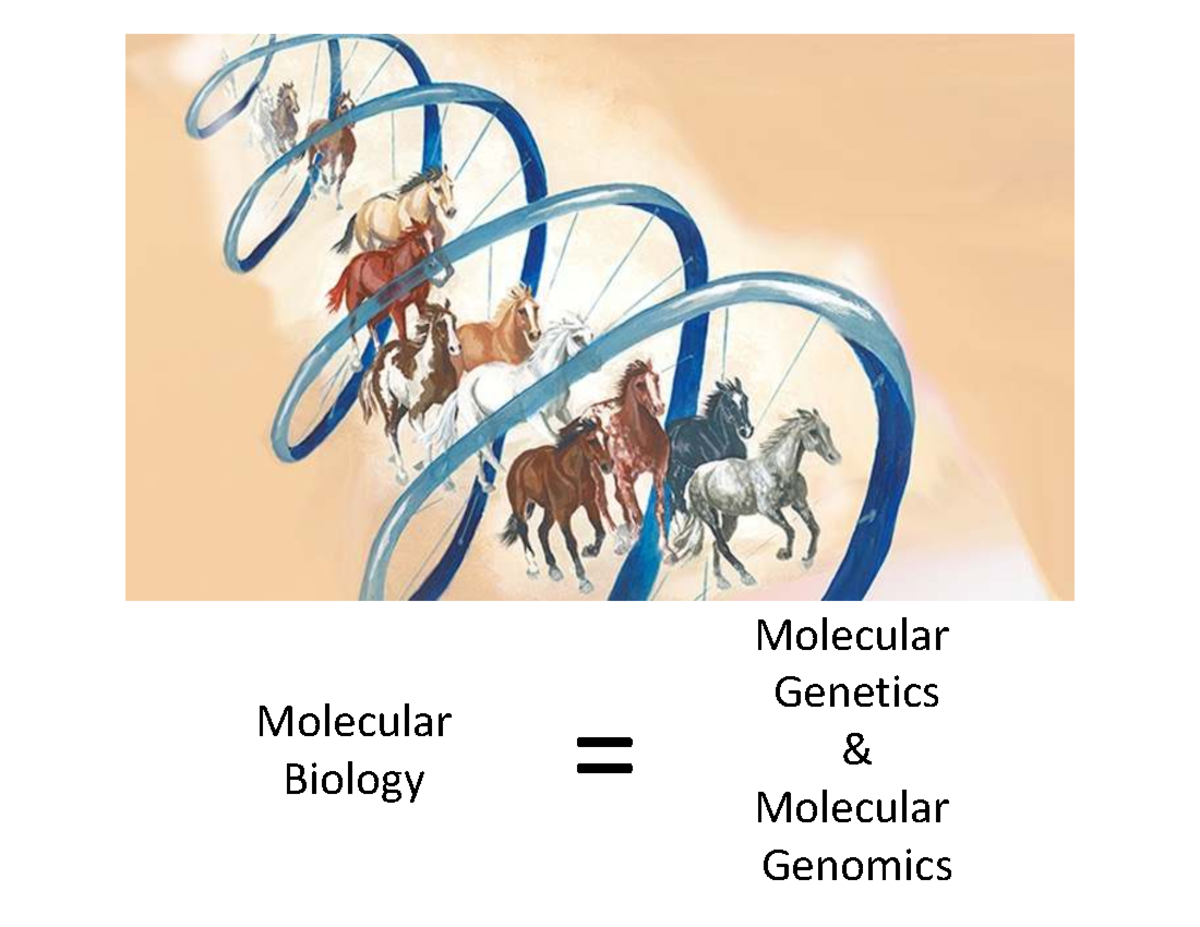 Molecular Biology: Genetic Testing Techniques and Their Applications ...