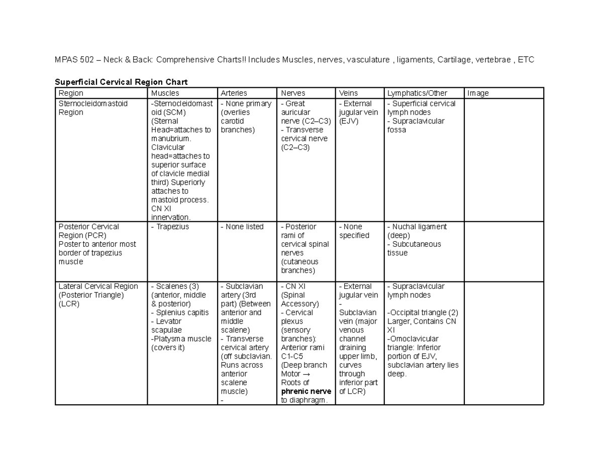 MPAS 502 Module 2: Detailed Neck & Back Anatomy Charts and Notes - Studocu