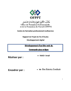 Rapport de Stage PFE : Évaluation Financière du Projet Multi4 - Gestion ...