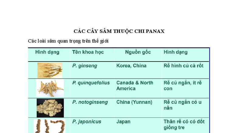 CÁC LOÀI SÂM THUỘC CHI PANAX VÀ TÁC DỤNG CỦA CHÚNG - Studocu