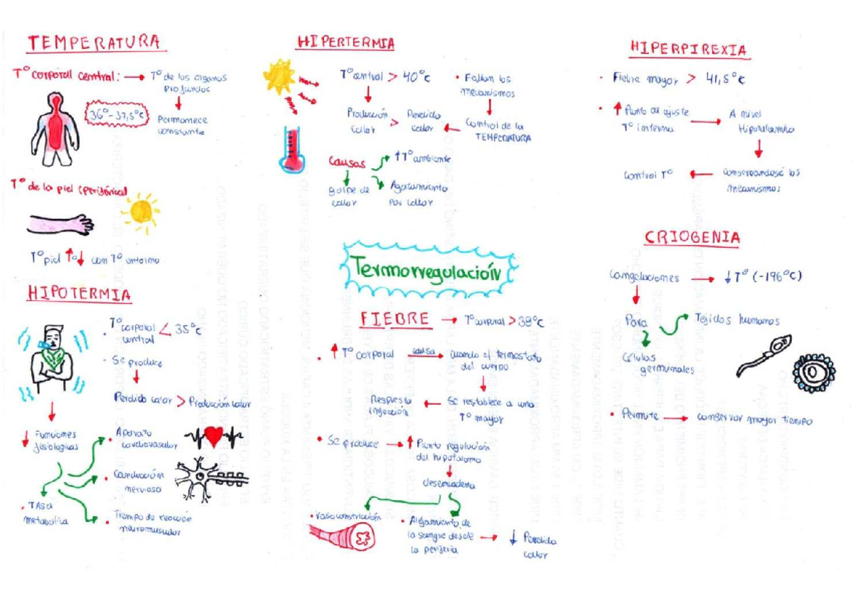 Termorregulación y Mecanismos de Control de la Temperatura Corporal ...
