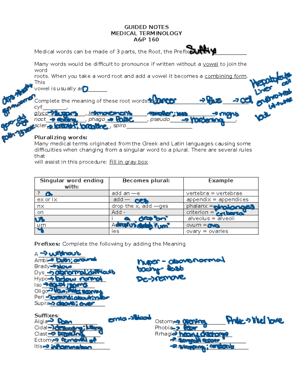 A&P 160 Final Exam Guided Notes: Medical Terminology Essentials - Studocu