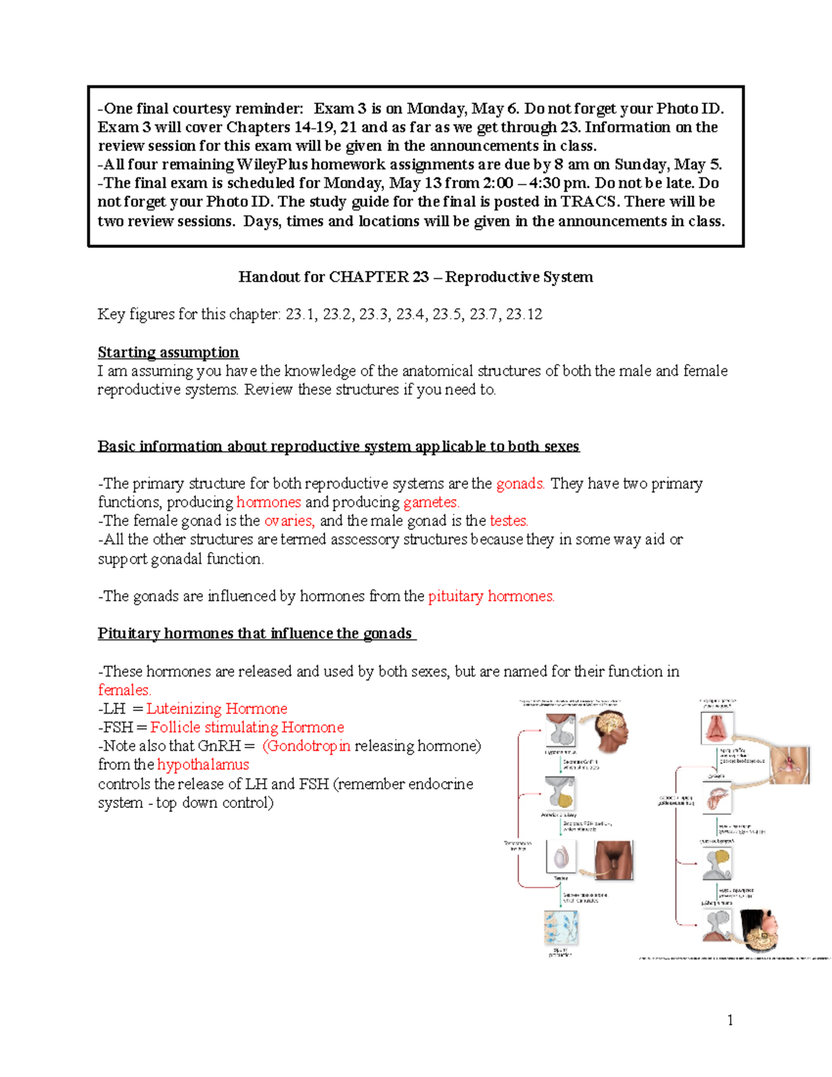 BIO 2430 Chapter 23 Handout: Reproductive System Overview S19 - Studocu