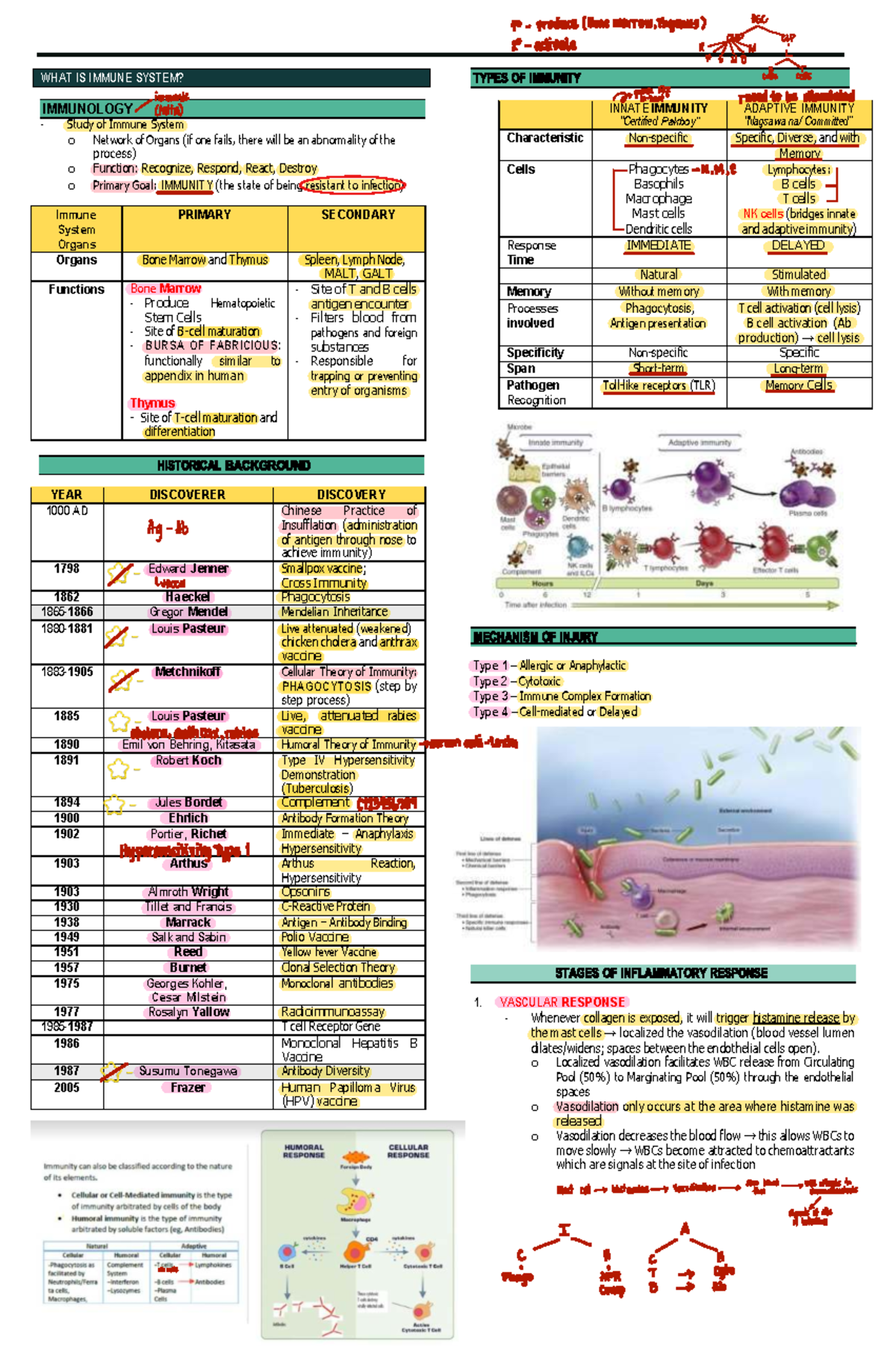 Immunology-Serology Notes: Understanding the Immune System Functions ...