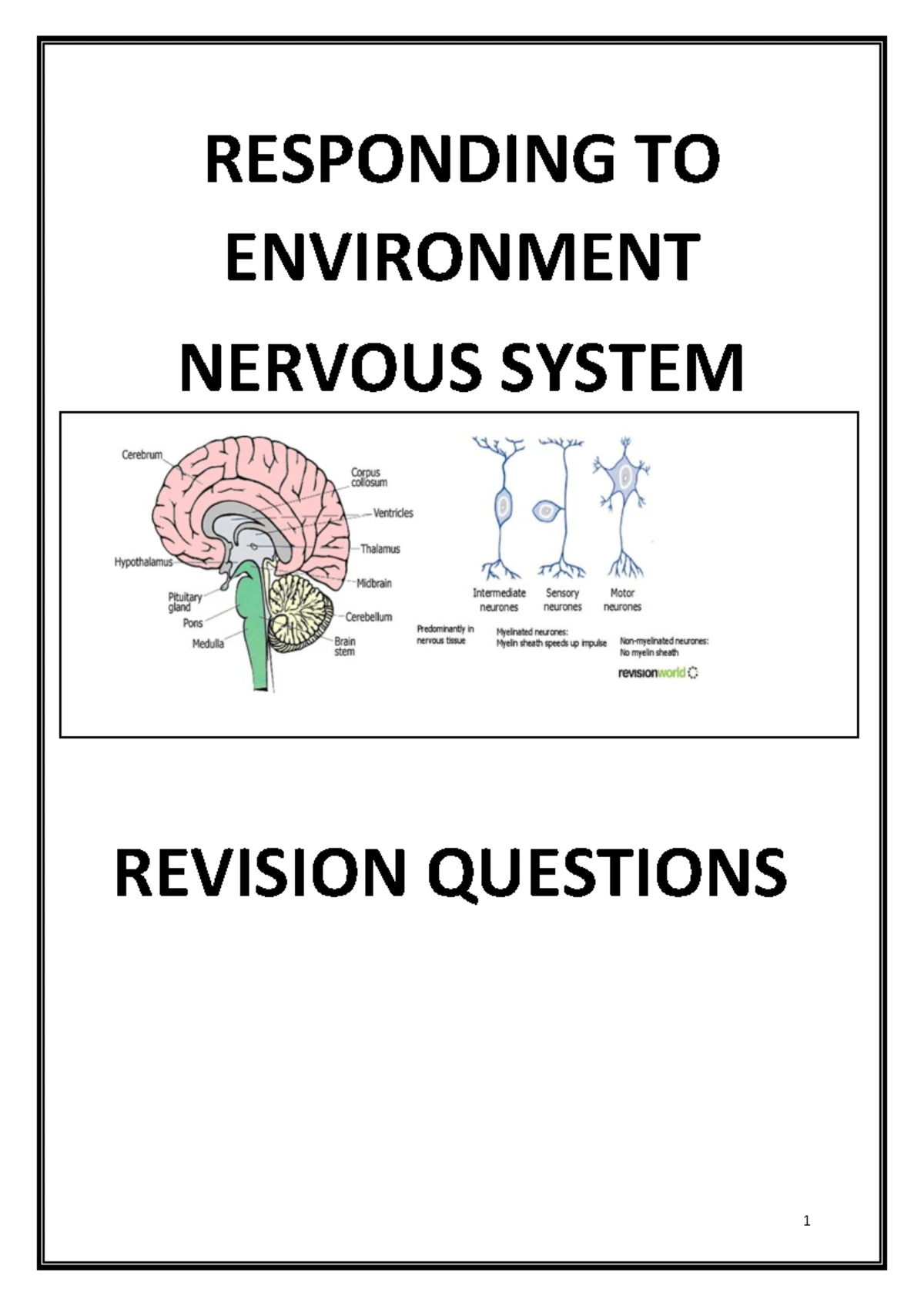 Grade 12 LFSC Human Nervous System Revision Booklet - Teacher's Copy ...