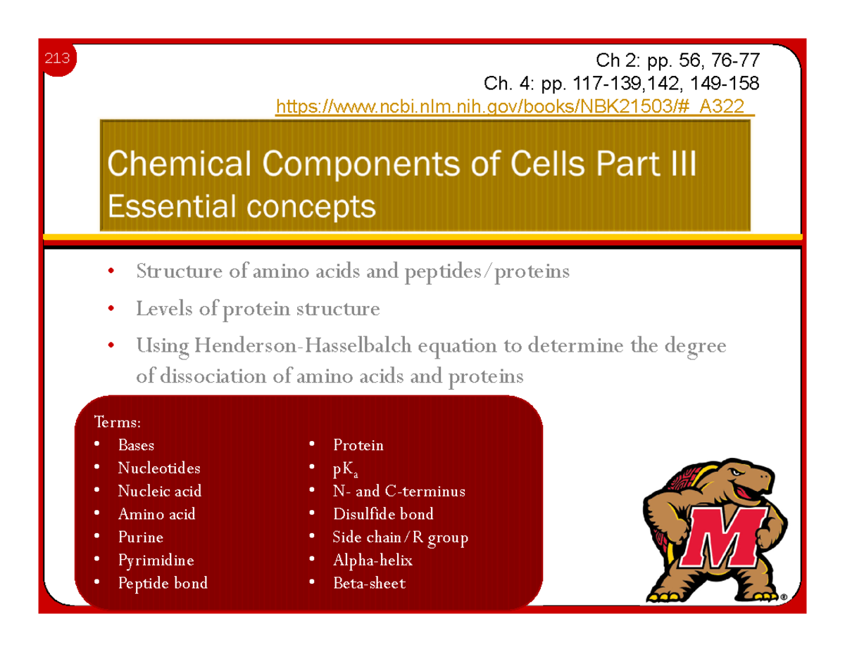 BIOE120 Slides Week 5 - LECTURE SLIDE - • Structure of amino acids and ...