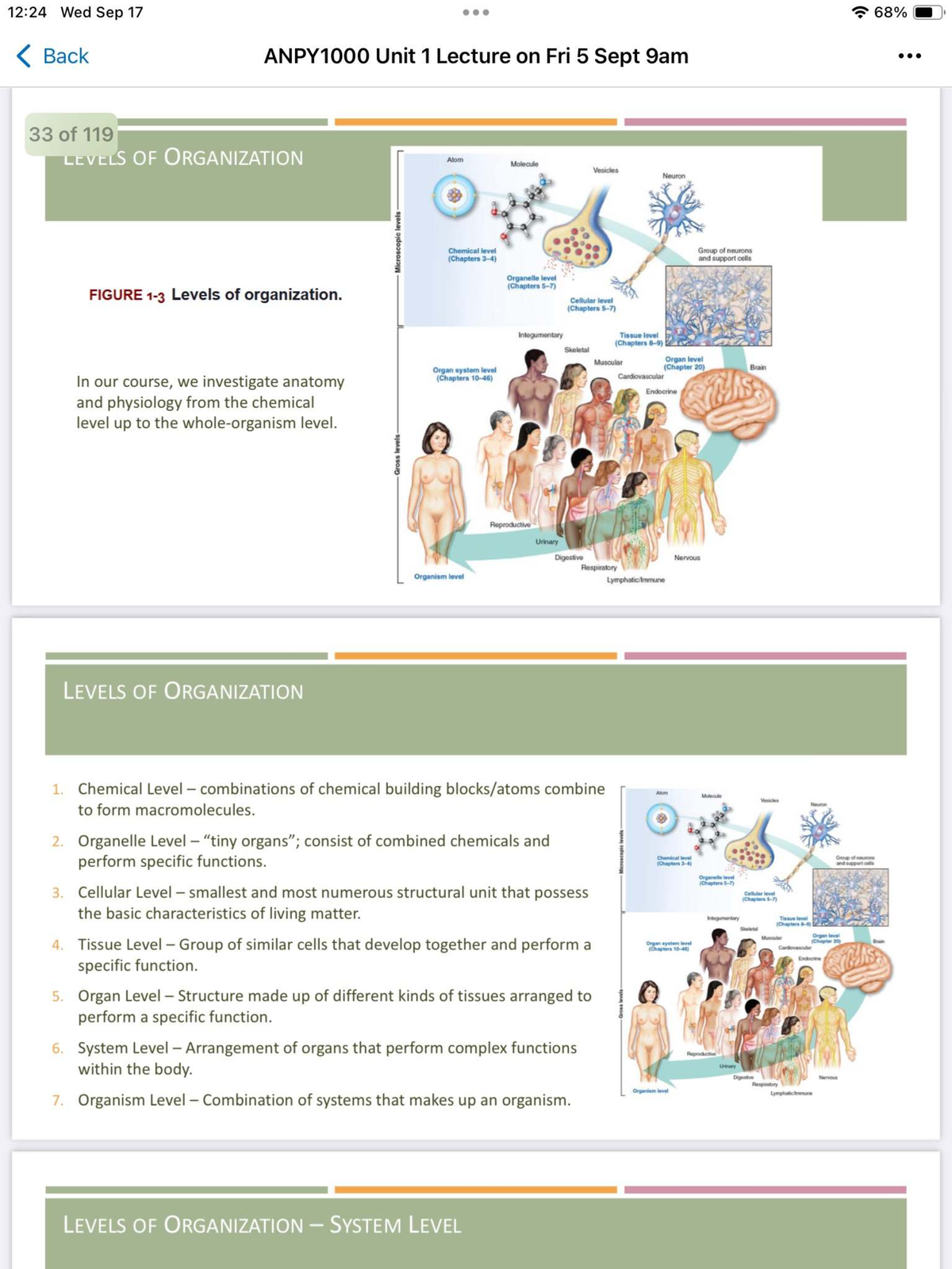 Unit 1 Lecture: Levels of Organization in Anatomy (Chapter 20) - Studocu
