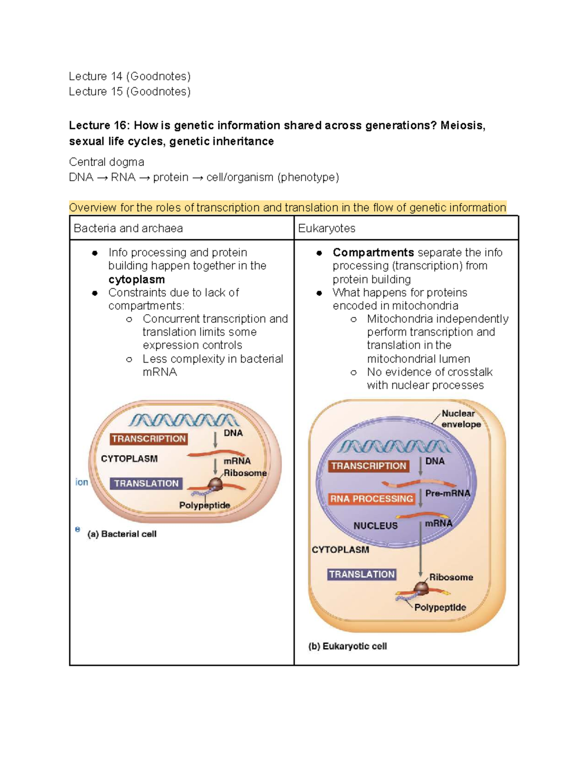 BIO 1A Lecture Notes: Genetic Information Flow & Inheritance Overview ...