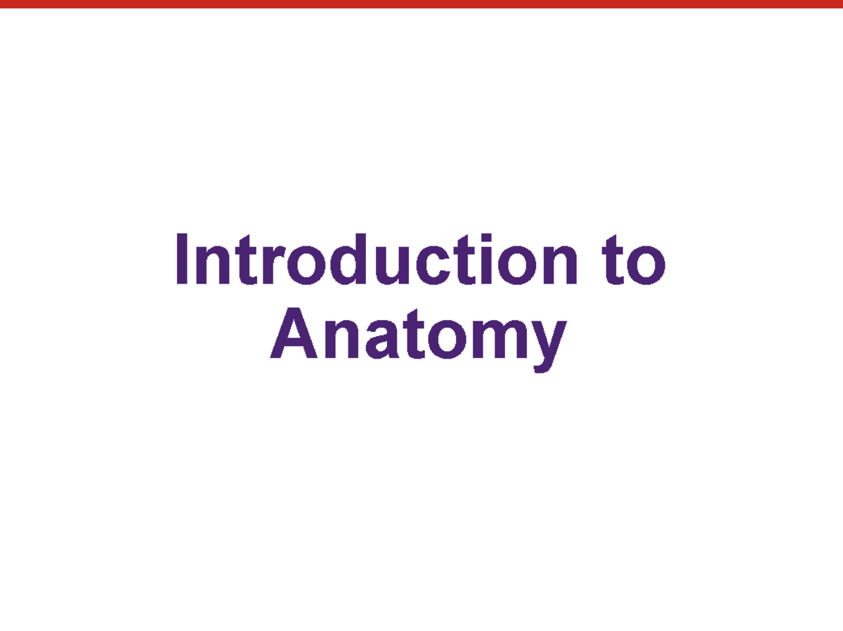 Anatomy 101: Levels of Organization & Terminology Overview - Studocu