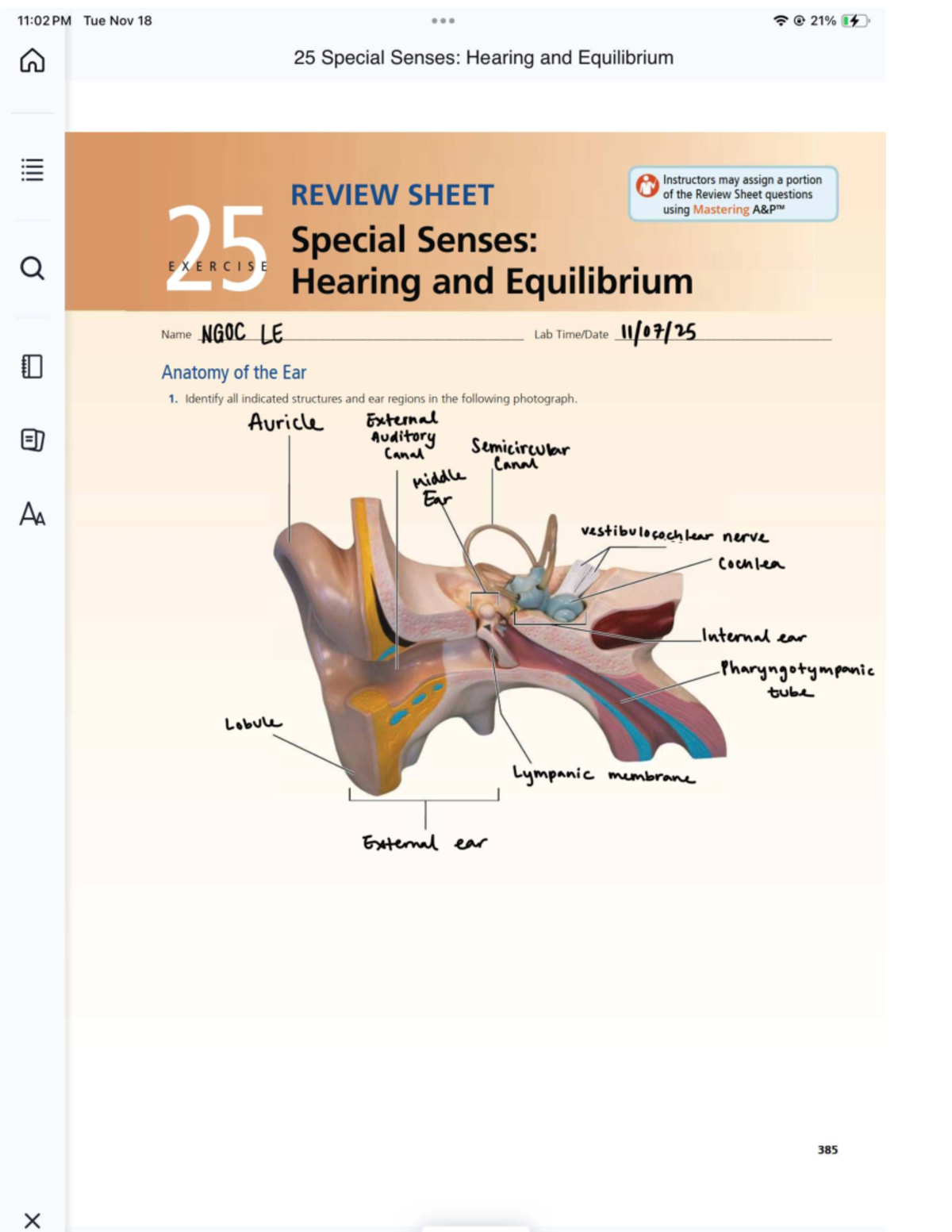 WK3 LAB HW - Review Sheet on Special Senses: Hearing & Equilibrium ...