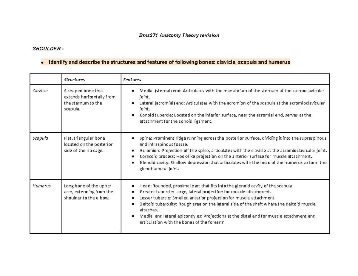 BMS271 Anatomy Theory Revision: Shoulder Structures & Functions - Studocu