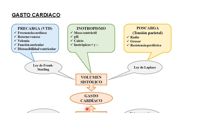 Gasto Cardiaco Fisio 2 - GASTO CARDIACO PRECARGA (VTD) INOTROPISMO ...
