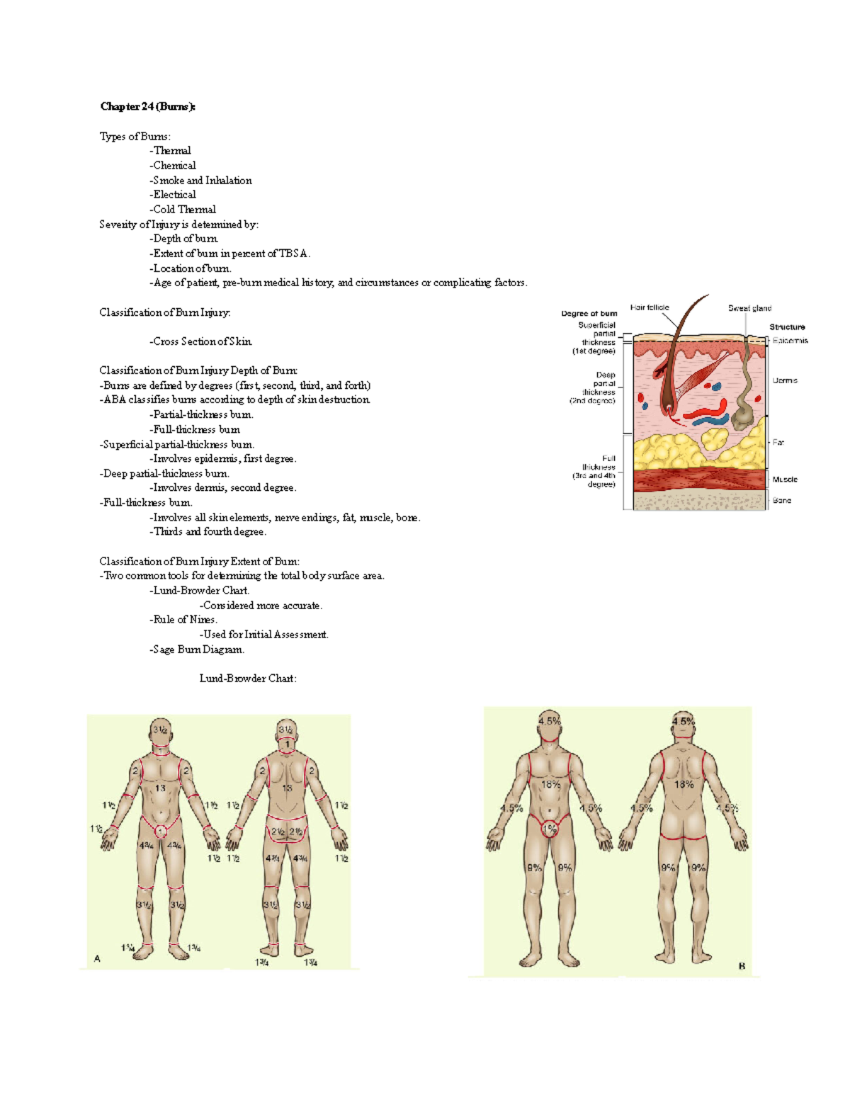 Burns Case Study: Lecture Notes on Classification and Management - Studocu