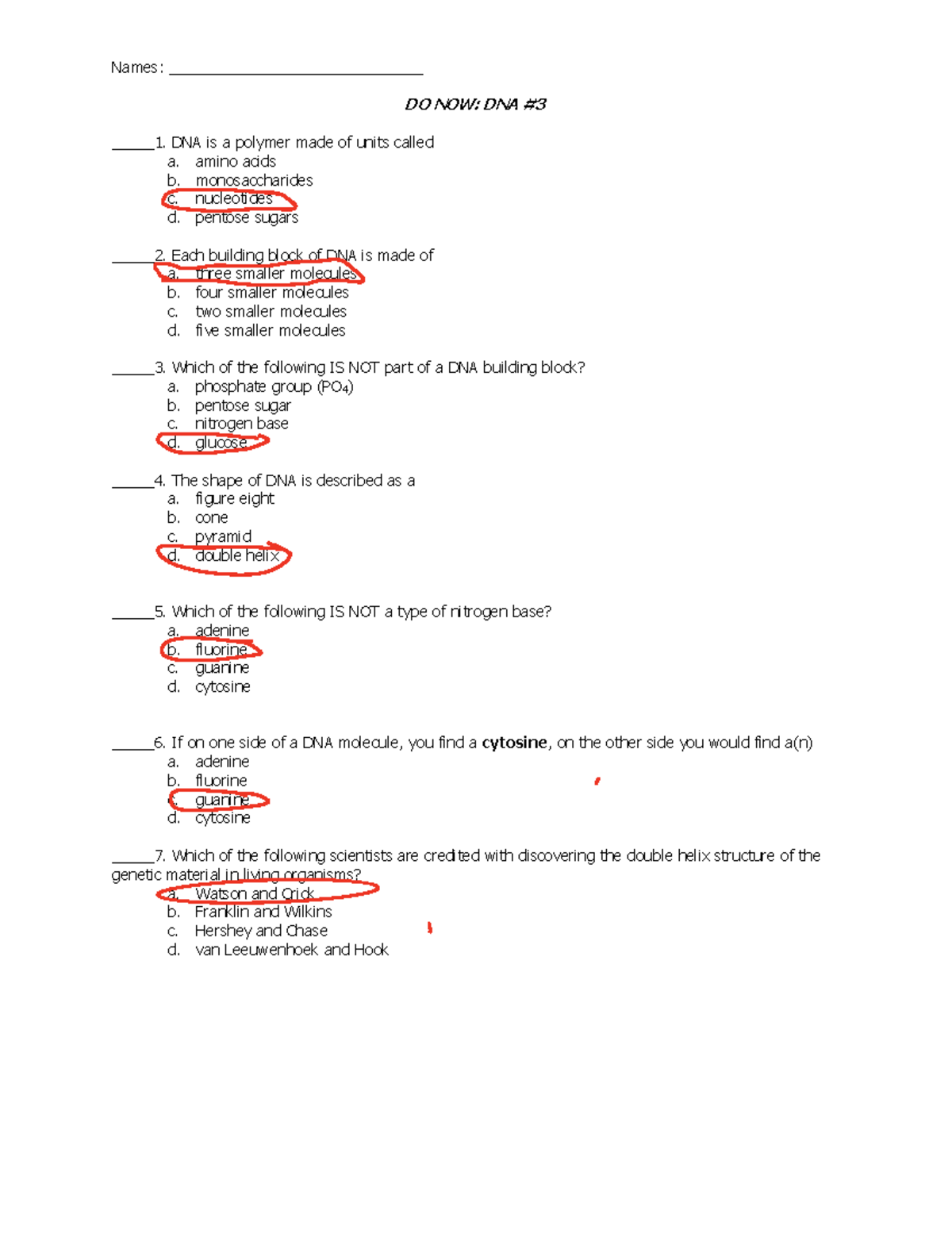 WS - DO NOW #3 - DNA Structure and Function Quiz - Studocu