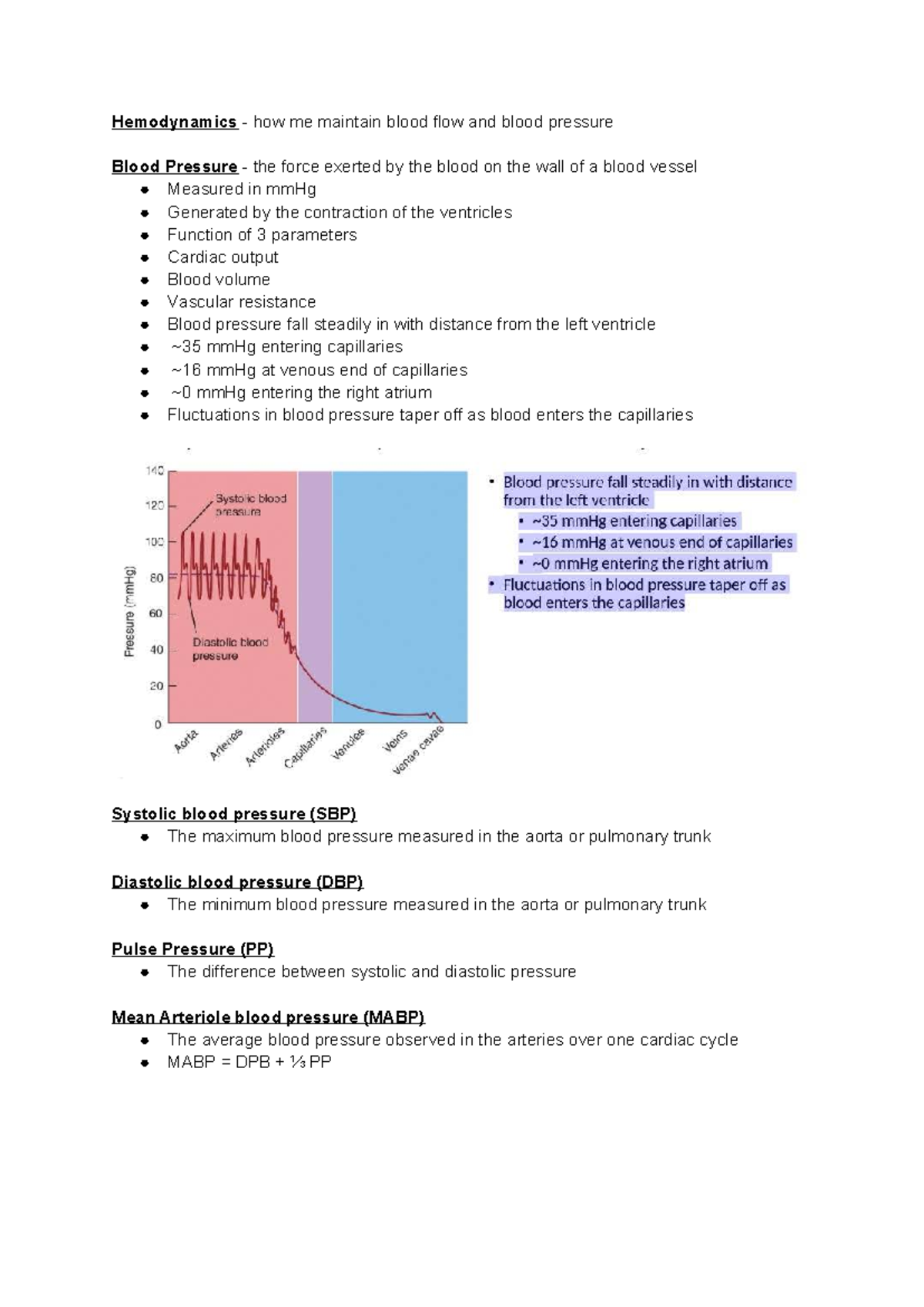 Anatomy - WEEK 3 - Hemodynamics: Blood Flow & Pressure Regulation - Studocu