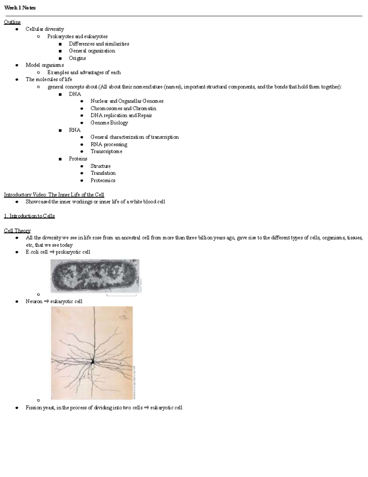 Week 1 Lecture Notes: Cellular Diversity in BIO130 - Studocu
