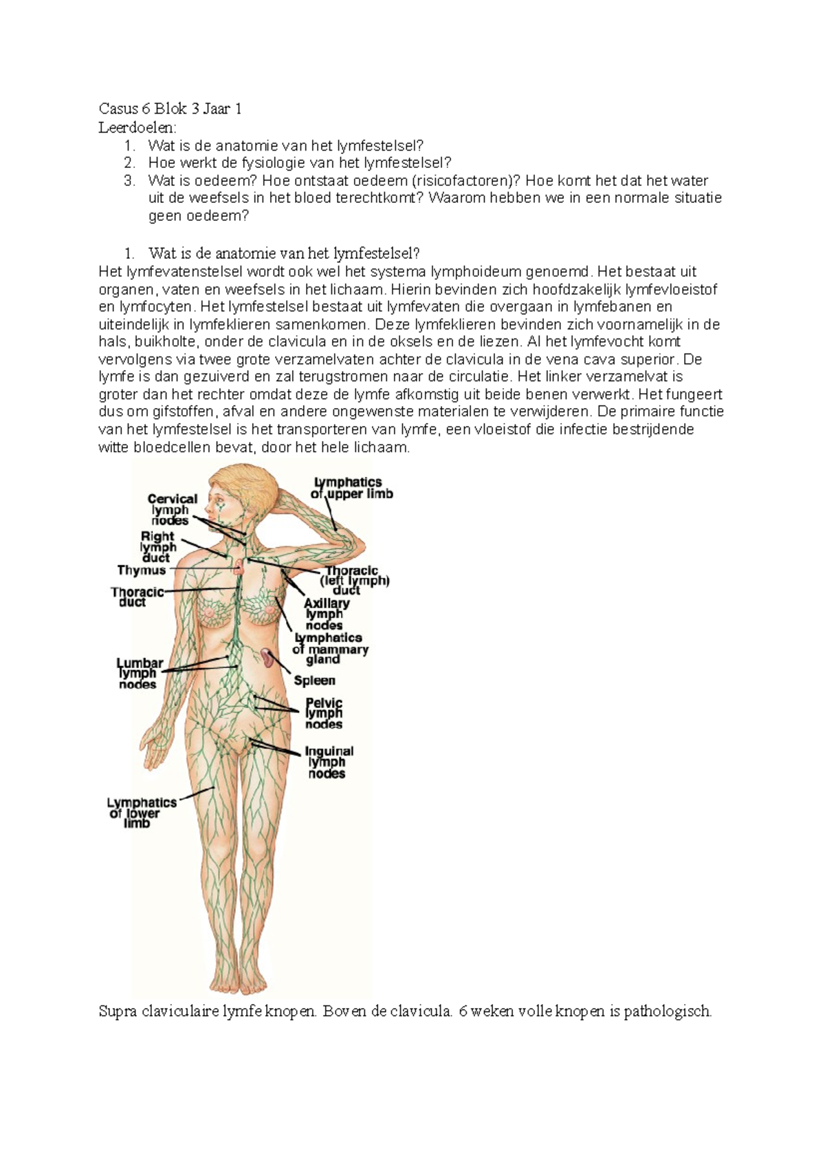 Casus 6: Anatomie en Fysiologie van het Lymfestelsel - Blok 3 Jaar 1 ...