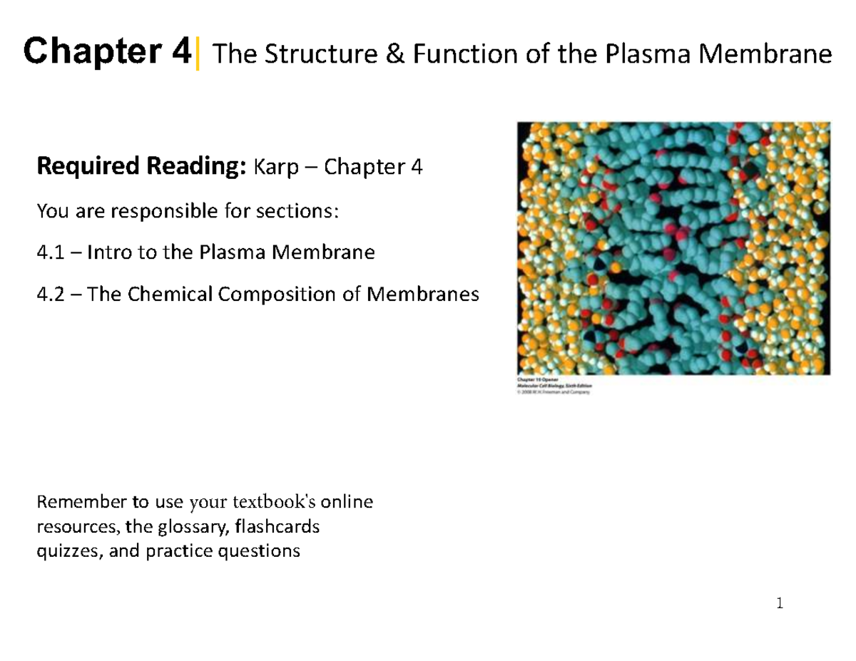 Chapter 4: Structure & Function of the Plasma Membrane (BIO 101) - Studocu