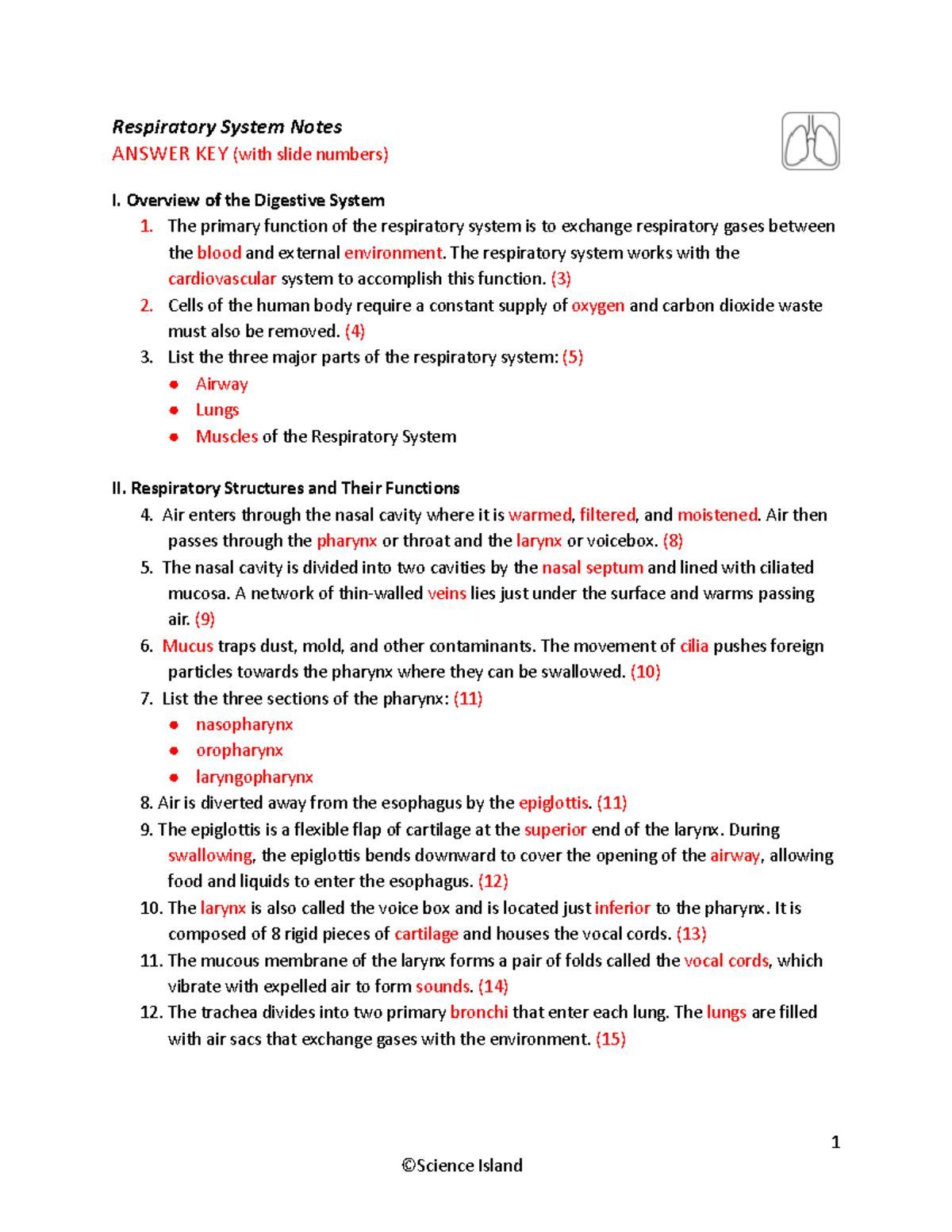 BIO101 Respiratory System Notes Answer Key & Overview Guide - Studocu