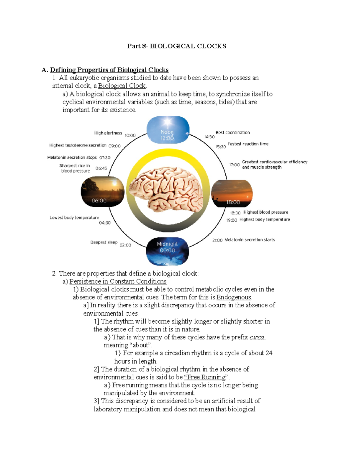 Biological Clocks: Mechanisms, Types, and Evolutionary Advantages (BIO ...