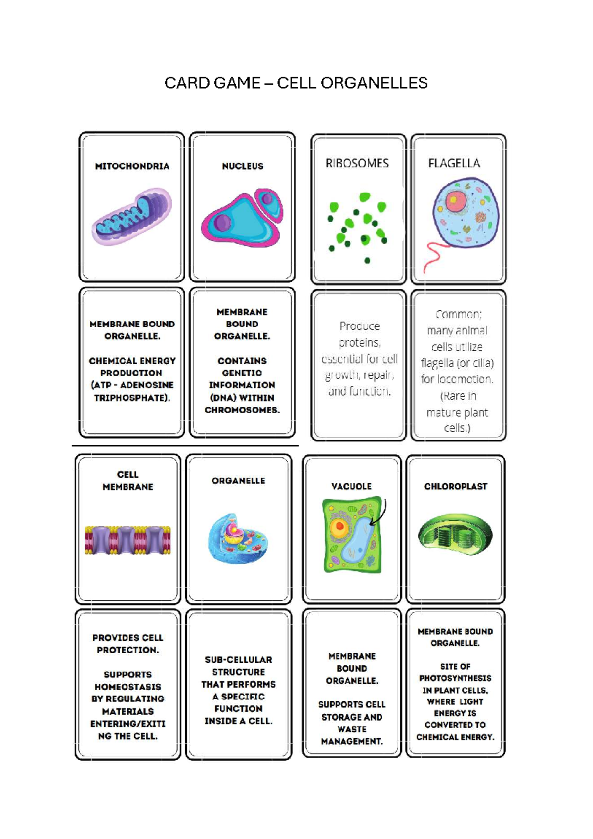 Card Game - Cell Organelles - ED5959 - CARD GAME – CELL ORGANELLES ...