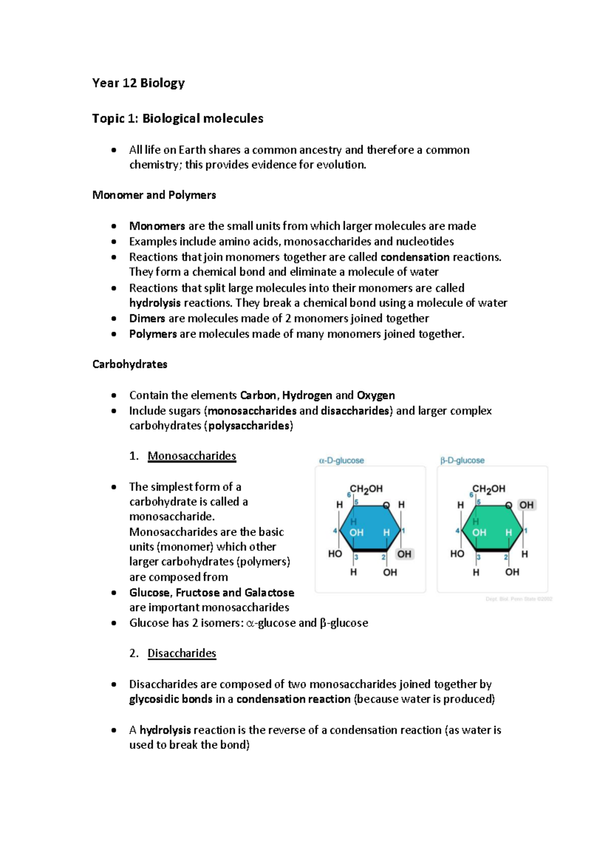 Year 12 Biology: Topic 1 - Biological Molecules Overview - Studocu