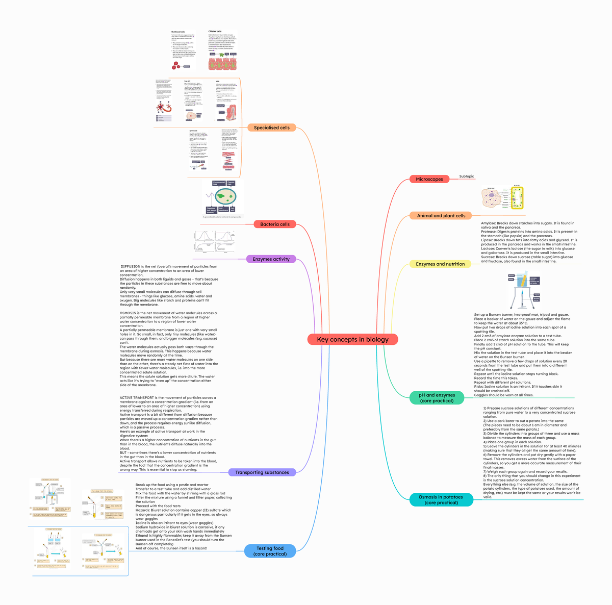 Key Concepts in Biology: Enzymes, Diffusion, and Transport (BIO101 ...