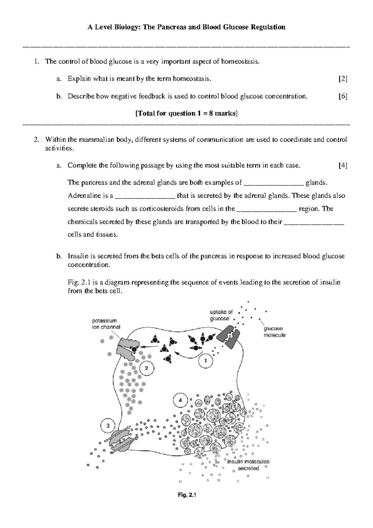 A Level Biology: The Pancreas & Blood Glucose Regulation Questions ...
