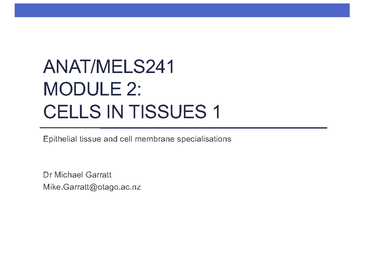 Module 2 Lecture 6: Epithelial Tissue Classification and Functions ...