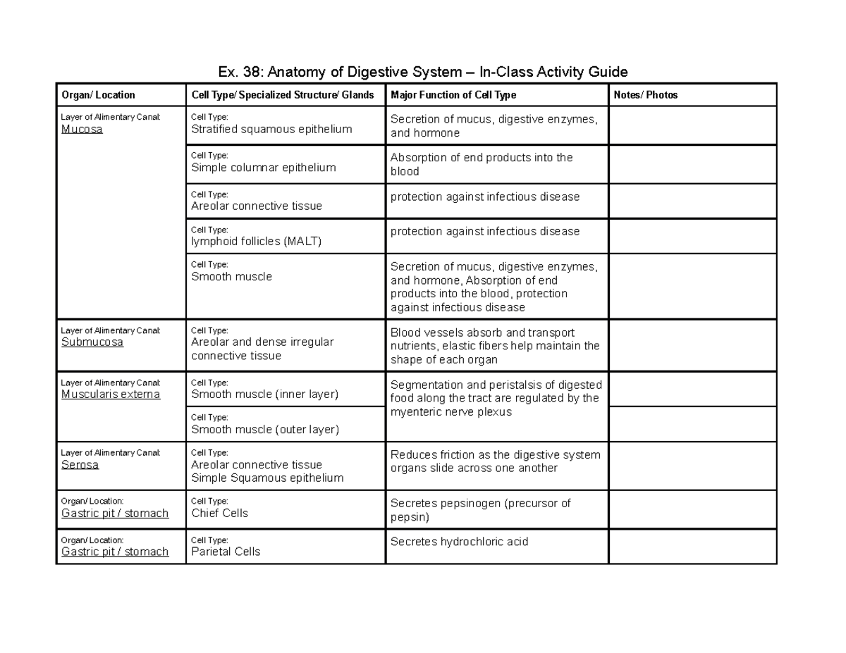 Digestive System Table copy copy - Ex. 38: Anatomy of Digestive System ...