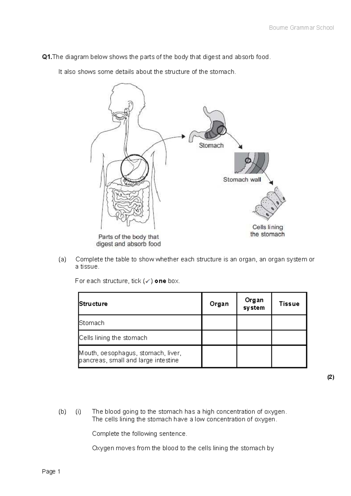 Enzymes and Digestion Revision Questions (1.4) with Mark Scheme - Studocu