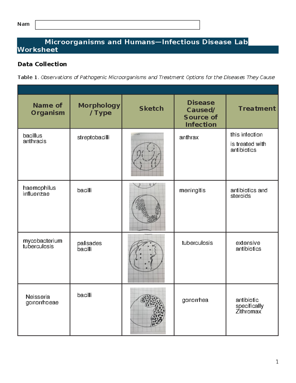 Worksheet Infectious Diseases - e: Microorganisms and Humans—Infectious ...