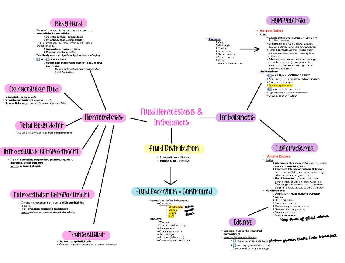 Exam 1 - Concept Maps for Pathophysiology II - Studocu