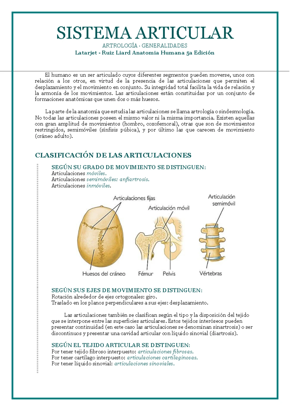 Irrigación del Miembro Inferior: Anatomía y Funciones Vasculares - Studocu