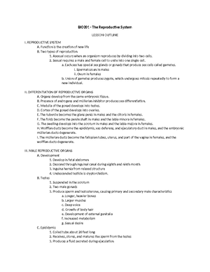BIO201 CH 19 Lecture Outline Study Guide - BIO201 CH 19 Lecture Outline ...