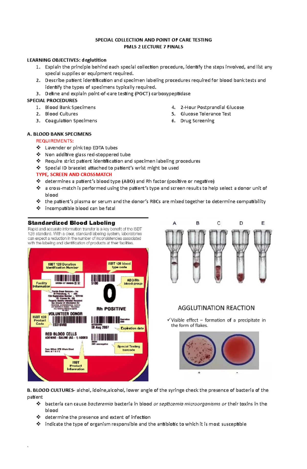 B2.3 IB Exam Study - Cell Specialisation Test (SL/HL) Notes - Studocu
