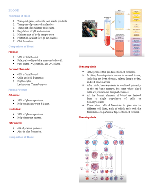 [Solved] Label muscles of the upper extremities with guide picture - BS ...