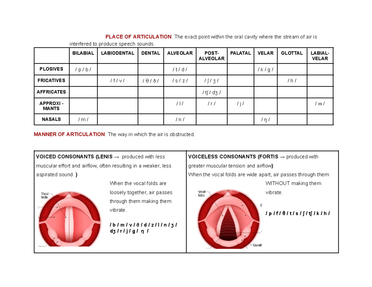 Phonetics - place and manner of articulation - PLACE OF ARTICULATION ...