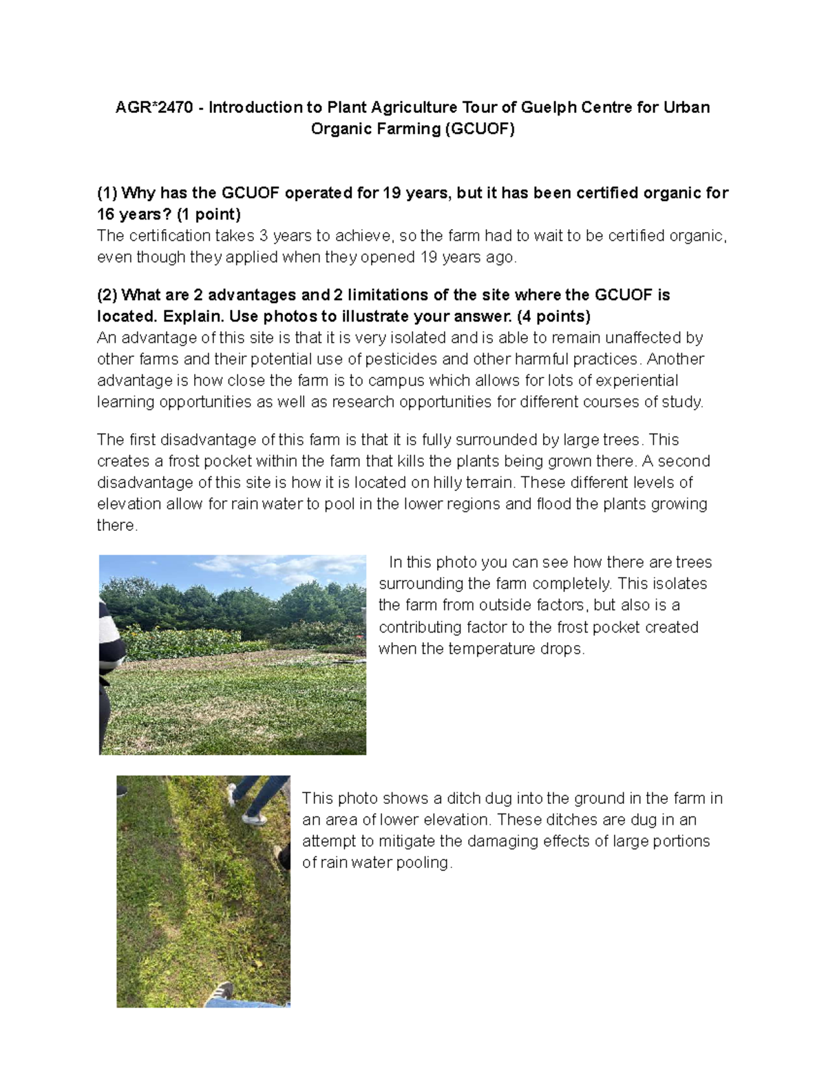 Lab 1 Worksheet - GCUOF: Insights on Urban Organic Farming - Studocu