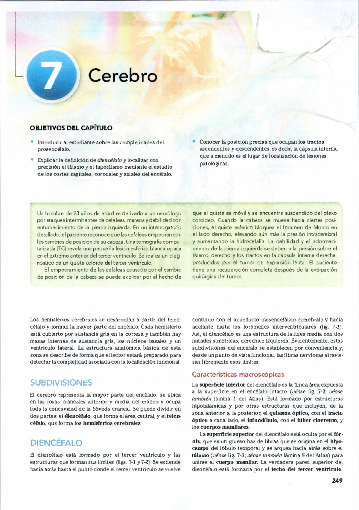 Neuroanatomía: Estructuras y Funciones del Prosencéfalo (DOC-20260309 ...