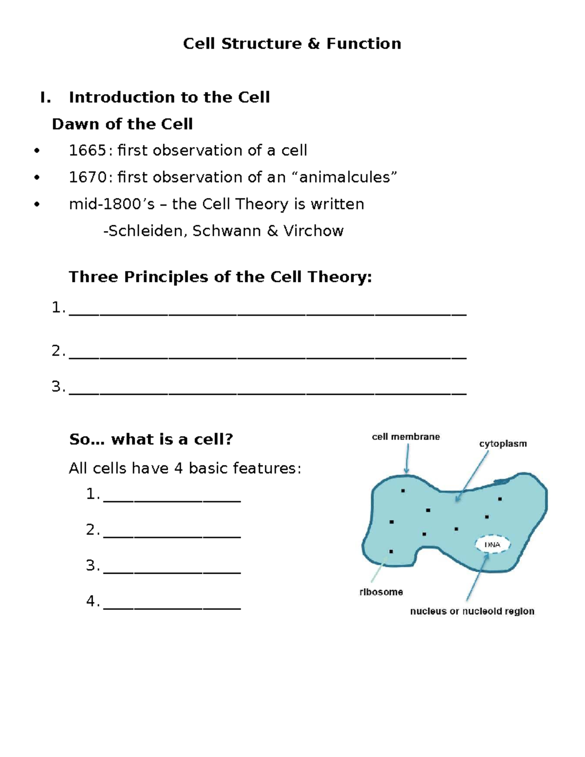 Cell Structure Function I: Overview of Cell Types & Organelles Fa23-1 - Studocu