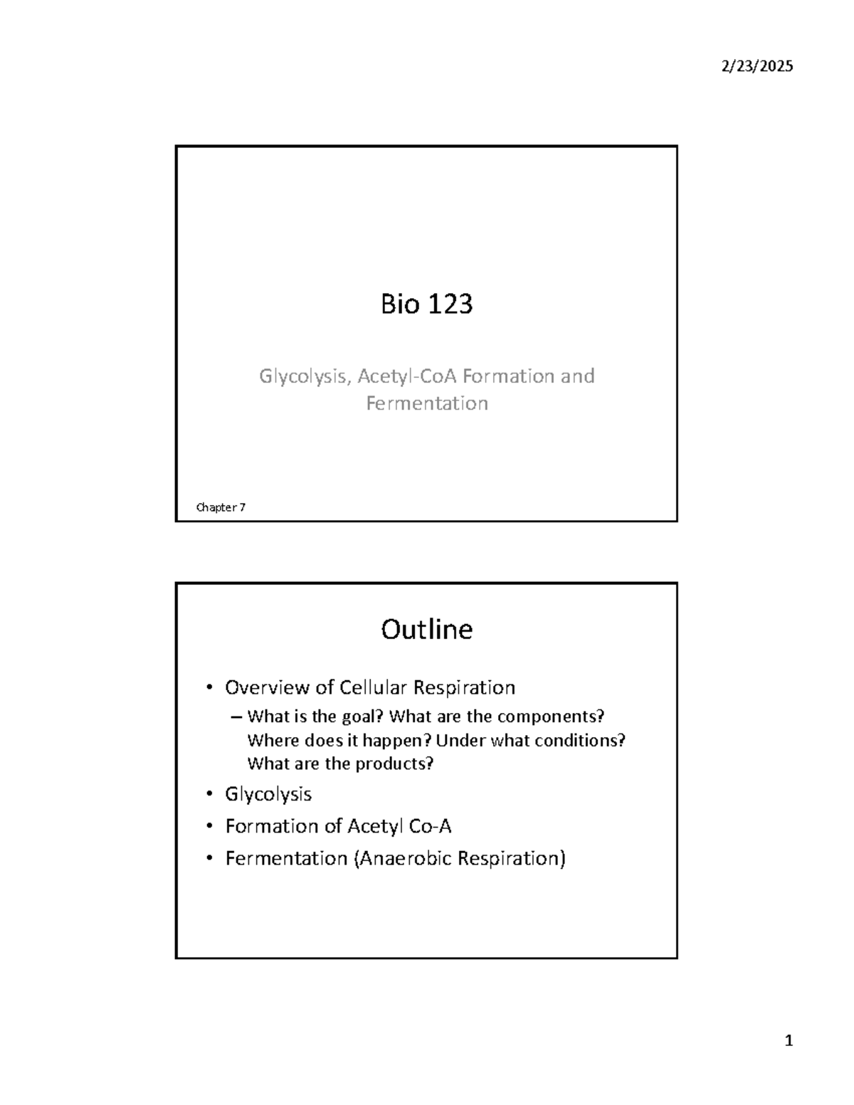 Bio 124 Final Exam Review Glycolysis Acetyl Coa And Fermentation Bio