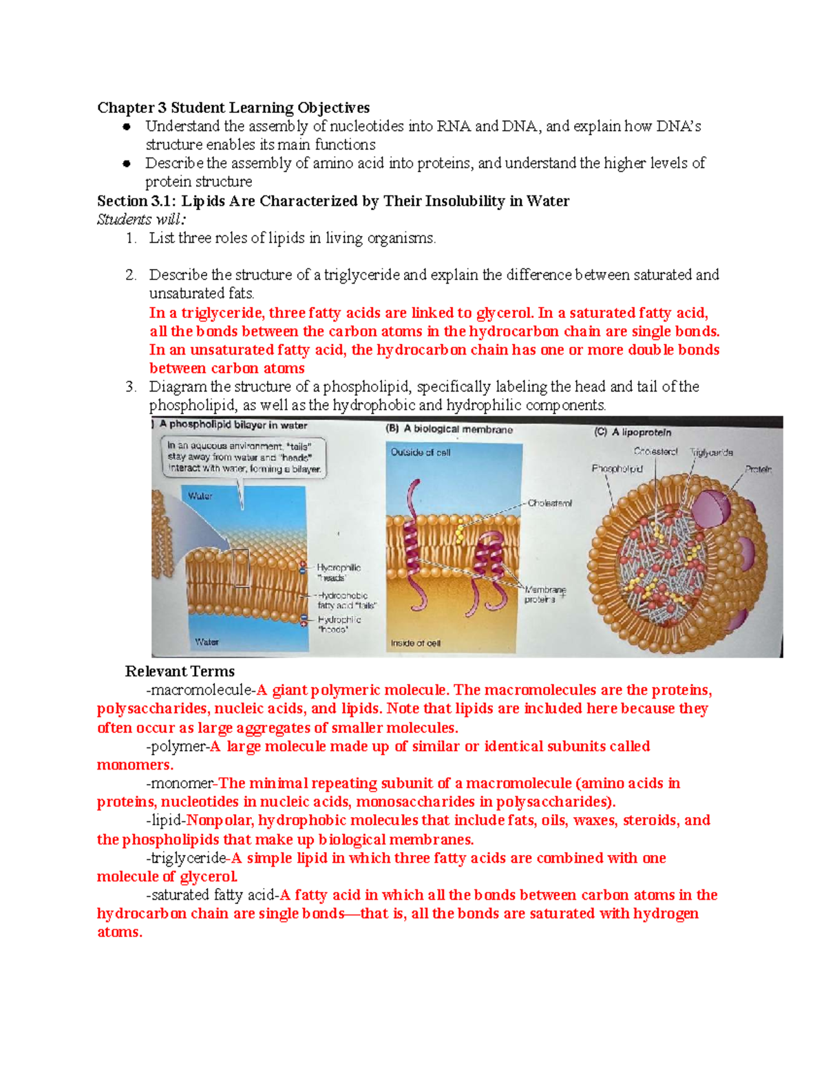 Student Learning Objectives for BIOL 1307: Chapter 3 Overview - Studocu