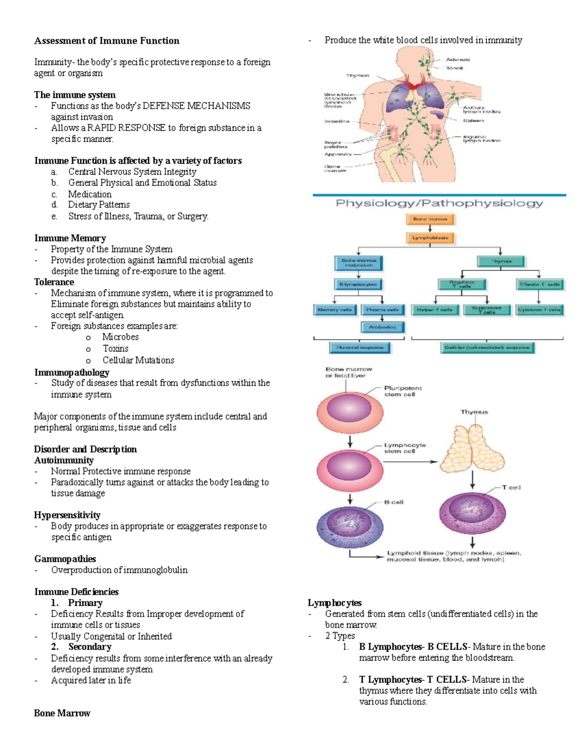 Assessment of Immune Function: Detailed Overview and Analysis - Studocu