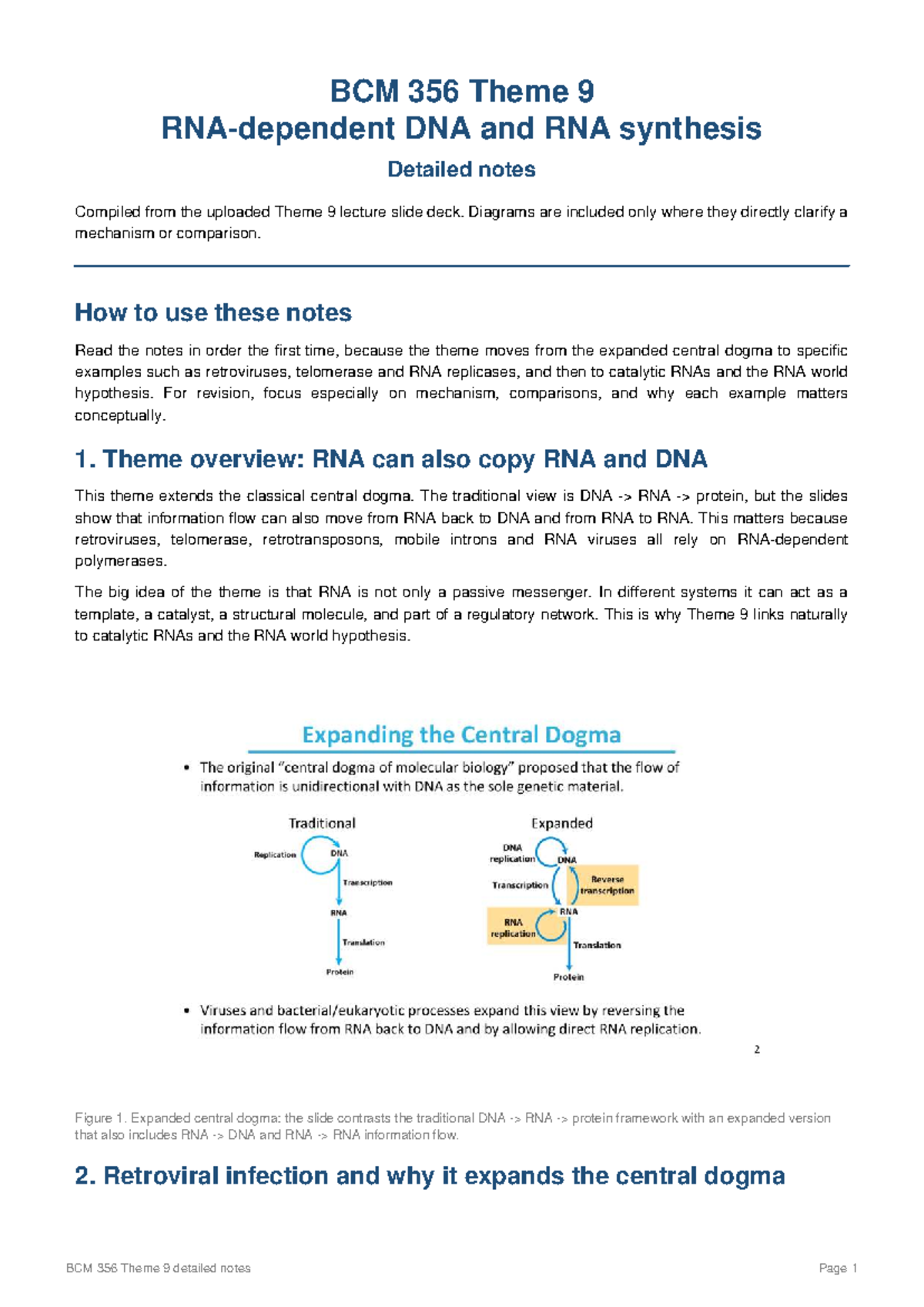 BCM 356 Theme 9: DNA & RNA Synthesis Detailed Lecture Notes - Studocu