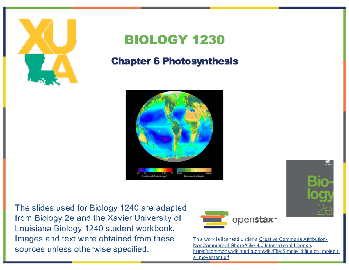 BIOLOGY 1230 Chapter 8 Photosynthesis Overview and Mechanisms - Studocu