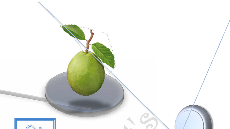 Presence of Oxalate Ions in Guava: A Chemistry Project (Class 12) - Studocu