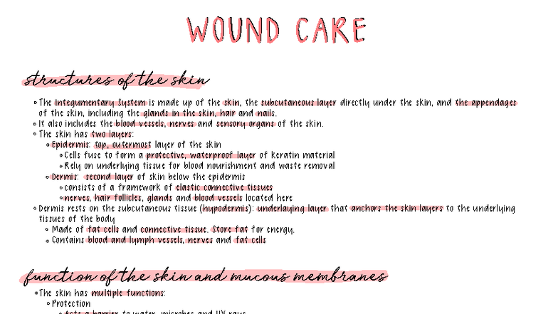 Wound care note pack: understanding the integumentary system and ...