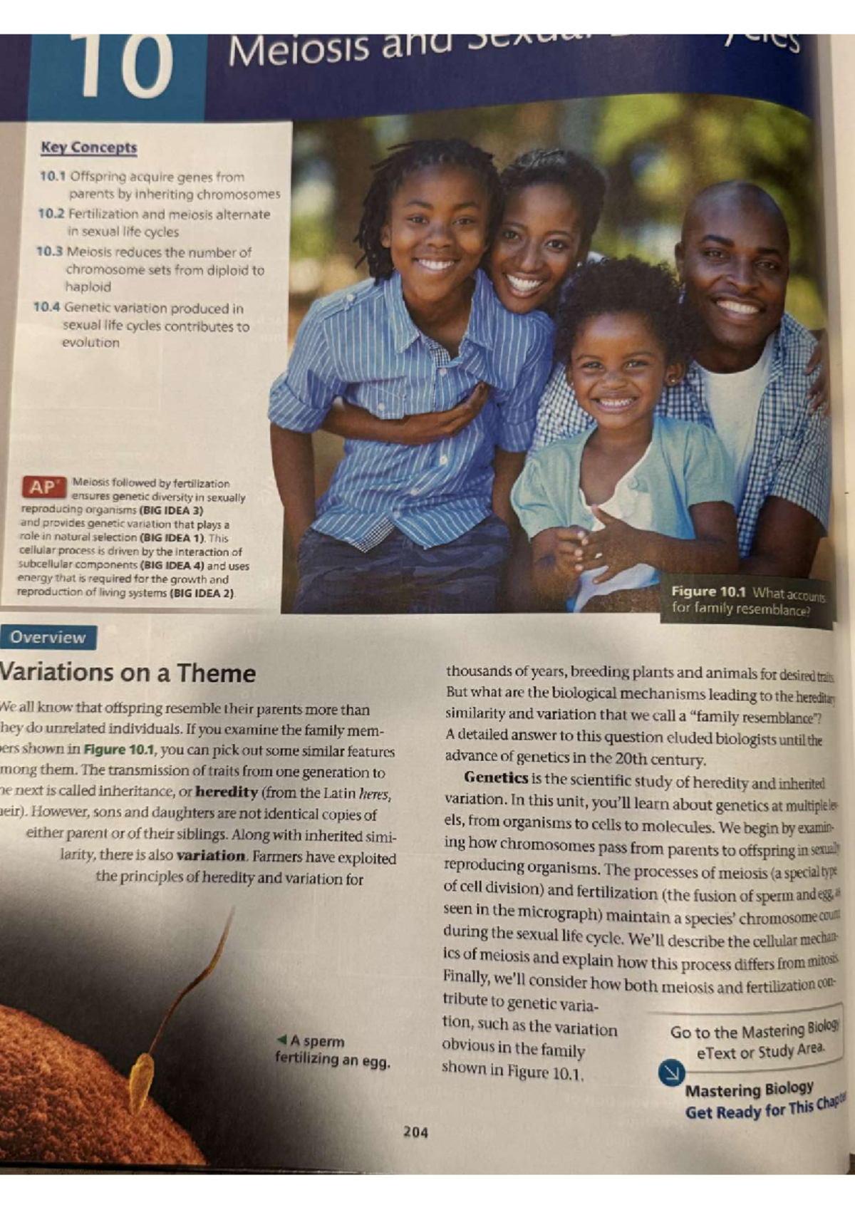 AP Biology Chapter 10: Meiosis and Sexual Life Cycles - Sample Test and ...